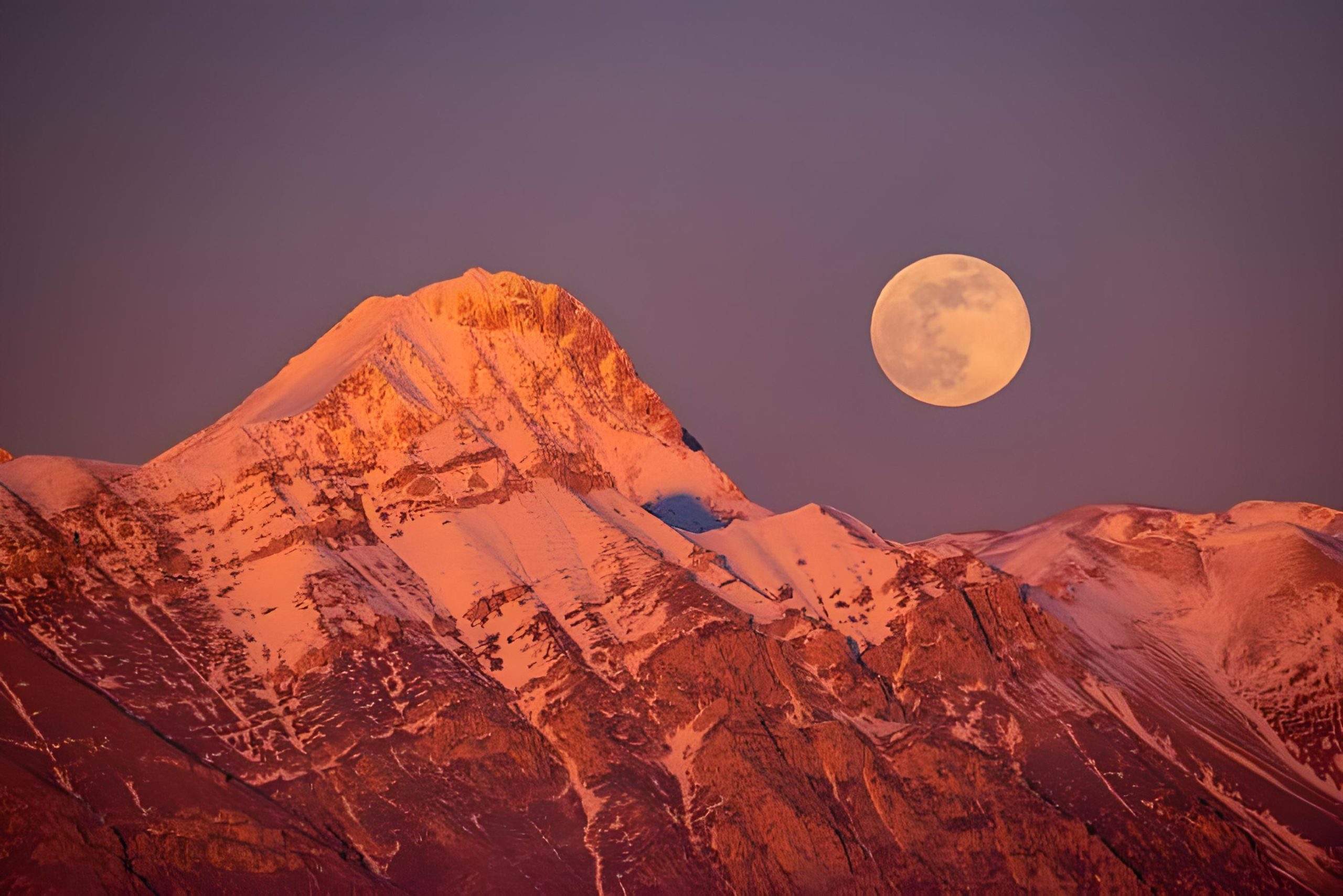 February: Wolf Moon, Wendigo, and Imbolc | ANDREA STARN